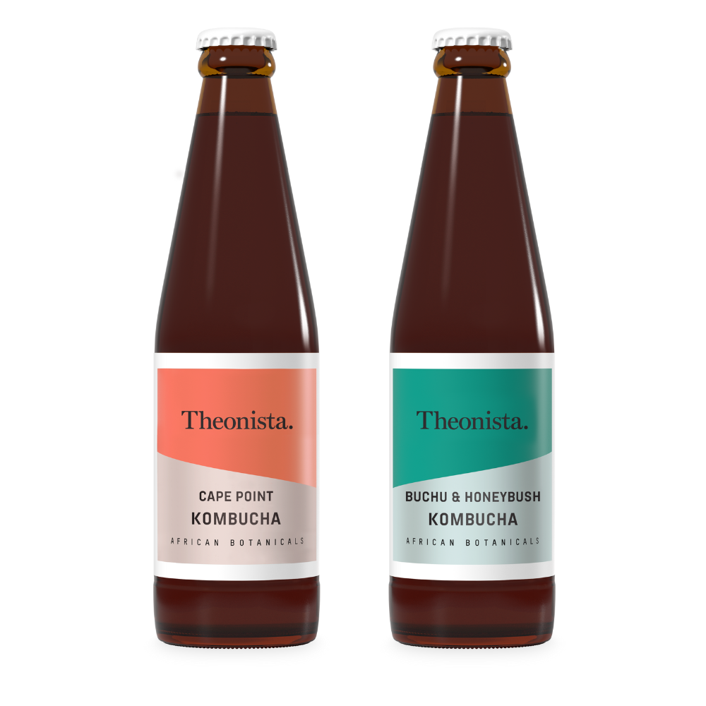 MIXED CASE - BOTANICAL KOMBUCHA - 330ml – Theonista