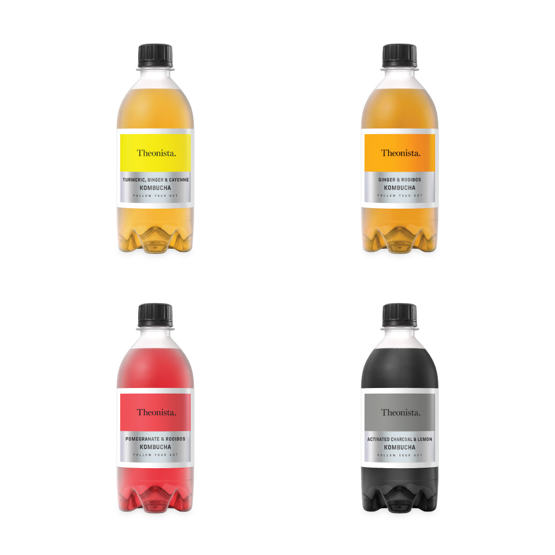 MIXED CASE - ASSORTED KOMBUCHA - 500ml – Theonista