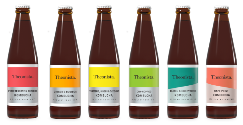 MIXED CASE - ASSORTED KOMBUCHA - 330ml – Theonista